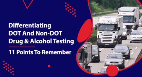Navigate DOT vs. Non-DOT Testing in 11 Easy Steps - DOT Compliance Group